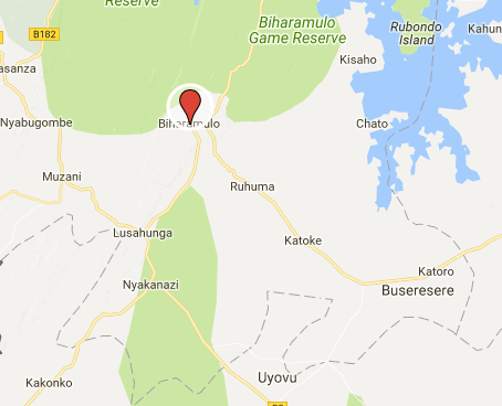 Our Work – Eleanor Foundation